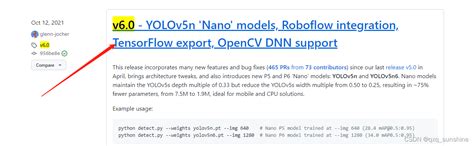 Yolov5预训练权重下载方法yolov5权重文件下载 Csdn博客