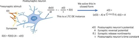 Closed Form Continuous Time Neural Networks R Neuralnetworks