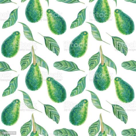 아보카도 수채화 원활한 패턴 고립 된 배경에 손으로 그린 과일 그림 분기에 줄기와 잎이 있는 사실적인 이미지입니다 0명에 대한 스톡 벡터 아트 및 기타 이미지 Istock