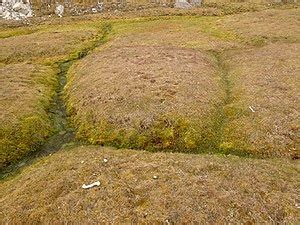 Permafrost Wikipedia