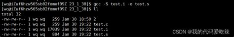 Linux编译器 Gccg使用gcc C Csdn博客