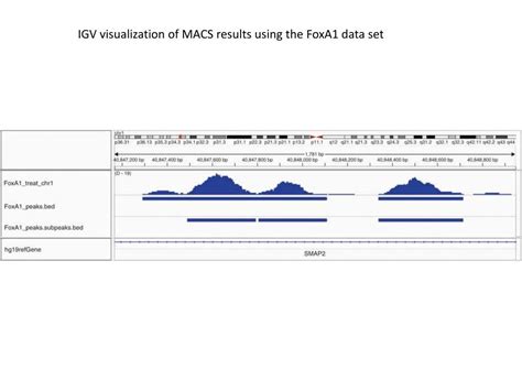 PPT ChIP Seq Data Analysis PowerPoint Presentation Free Download ID