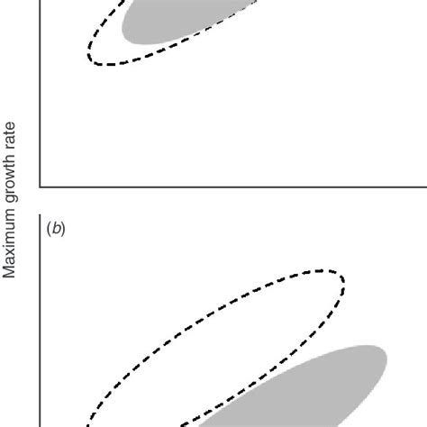 Hypothesised Relationships Between Shade Tolerance Minimum Light Download Scientific Diagram