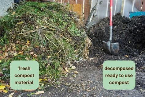 Full Guide To Composting For The BEST Garden Learn To Live Small