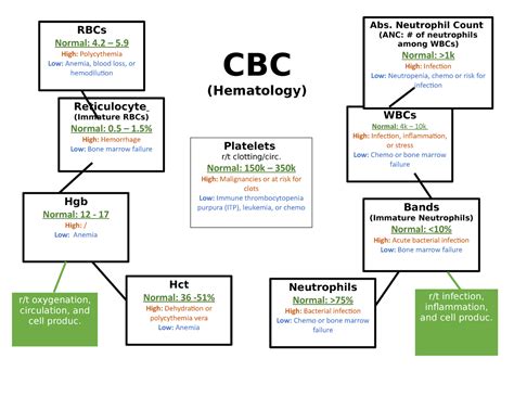 Cbc Labs Cbc Labs Cbc Hematology Abs Neutrophil Count Anc Of Neutrophils Among Wbcs
