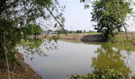 ติดคลอง และ ติดถนนลาดยาง ที่ดินร้อยแปด คอม