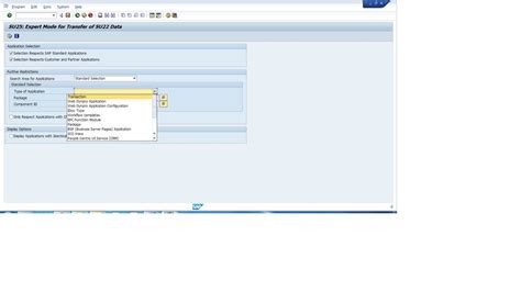 SU25 Upgrade Issue SAP Community