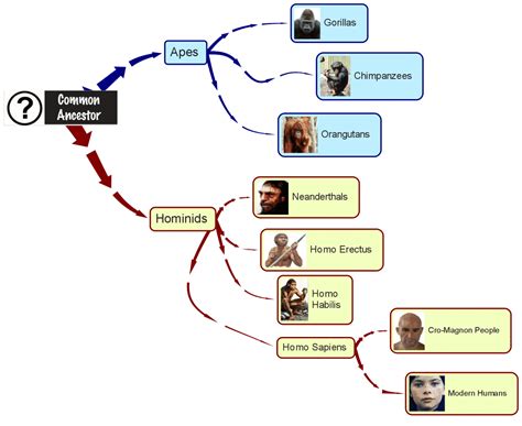 How To Use Visuals And The Modality Effect To Improve Student Learning