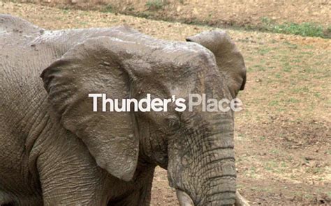 When Is Penis Size Too Big Counterproductive Page 31 Thunder S Place