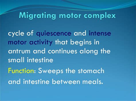 Chewing Mastication Ppt Download