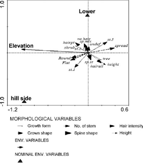 Graphical Representation Of The Relation Between The Statistically