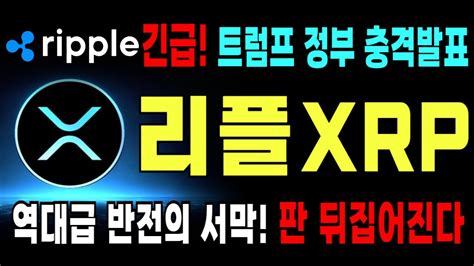 리플 Xrp 전망⭐초대형 호재 난리난다 역대급 반전의 서막 이제부터 중요한 분기점입니다 절대 흔들리지 마세요 리플 리플전망 리플코인 Xrp전망 Xrp코인