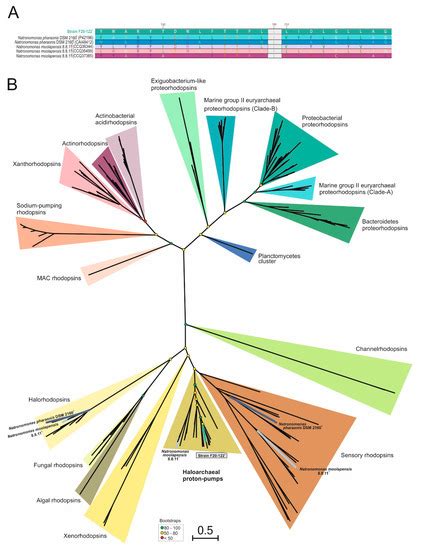 Microorganisms Special Issue Microbial Diversity In Extreme Environments