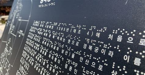 성인 시각장애인 40 점자 사용 능력 기초 이하