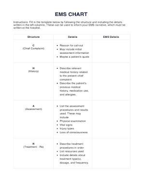 Fillable Online EMS CHART Template PDF Elevate Your Approach To EMS Documentation With Our EMS