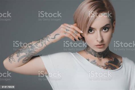 회색에 고립 된 카메라를 보고 하는 문신과 아름 다운 젊은 여자의 초상화 T 셔츠에 대한 스톡 사진 및 기타 이미지 T 셔츠 문신 백인종 Istock