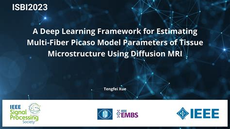 A Deep Learning Framework For Estimating Multi Fiber Picaso Model Parameters Of Tissue