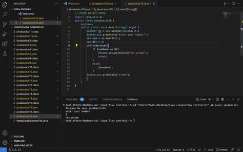 Raj On Linkedin Code Java 100daysofcode Alpha Apnacollege Programming Javadeveloper
