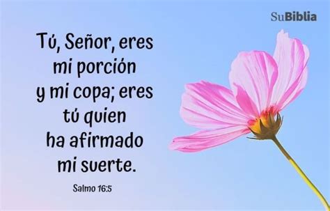 Textos Bíblicos Del Día De Hoy Inspiración Divina Para Tu Vida Diaria