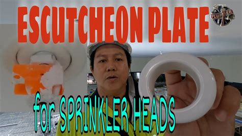 Escutcheon Plate Sprinkler Installation At Sandra Raines Blog