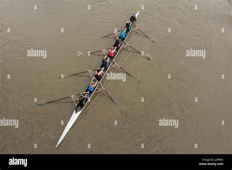 Sweep Rowing Oar