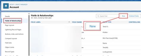 How To Create Date Field Type In Salesforce