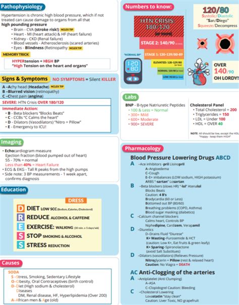 Hypertension Diagram Quizlet
