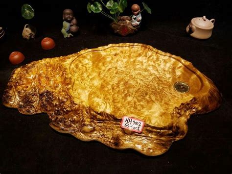 滿面瘤花黃金樟茶盤色澤金黃 HH9002 每日頭條