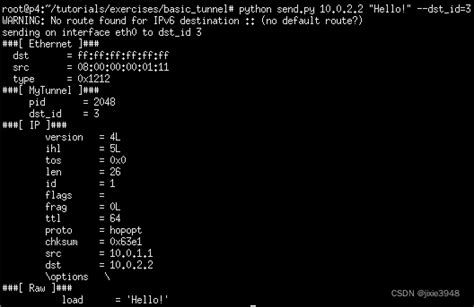 P4 Tutorial 快速上手 3 Basictunnelp4tutorials讲解 Csdn博客