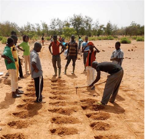 Digging Zai Pit Photo Credit Tunde Amole Download Scientific Diagram