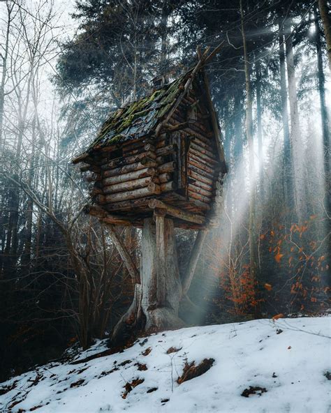 лес сычевальня Природа красивые фото природы моря озера леса смешные картинки и