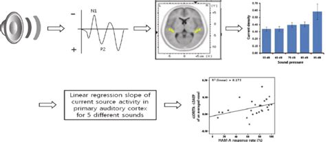 The Source Activities Of Erp Components N1 P2 On The Primary Auditory