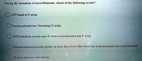 Solved During The Formation Of Microfilaments Which Of The Following