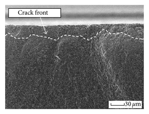 Scanning Electron Microscopy Image Of Fracture Surface Of Heavily
