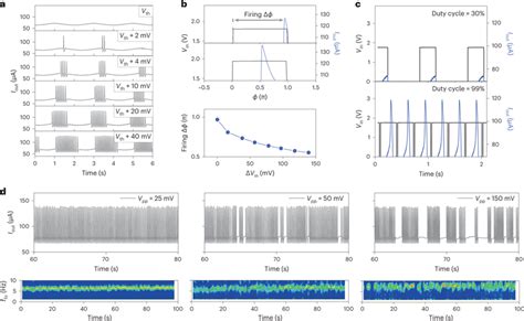 An Organic Artificial Spiking Neuron A Electrochemical Download Scientific Diagram