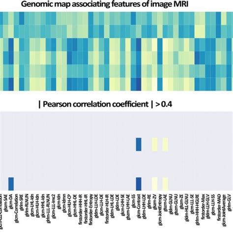 Correlation Between Genes And Image Features The Matrix Correlation Download Scientific