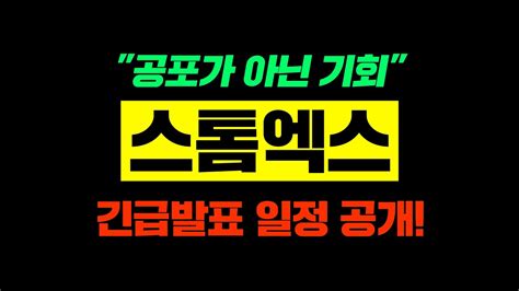 스톰엑스공포가 아닌 기회긴급발표 일정 공개 스톰엑스코인 스톰엑스코인전망 Youtube