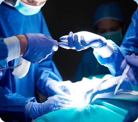 Procedimentos Dr Nestor Bertin