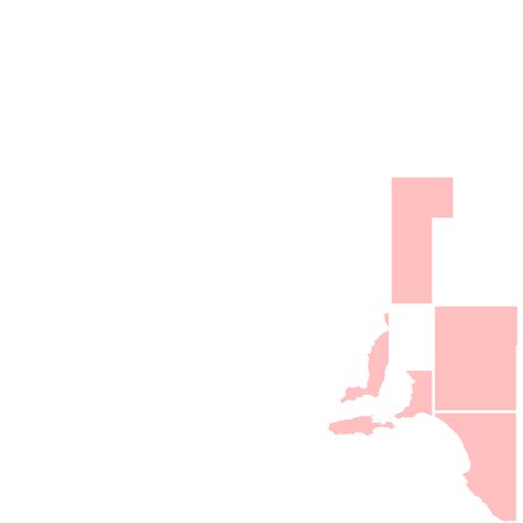 Gomphocarpus Cancellatus