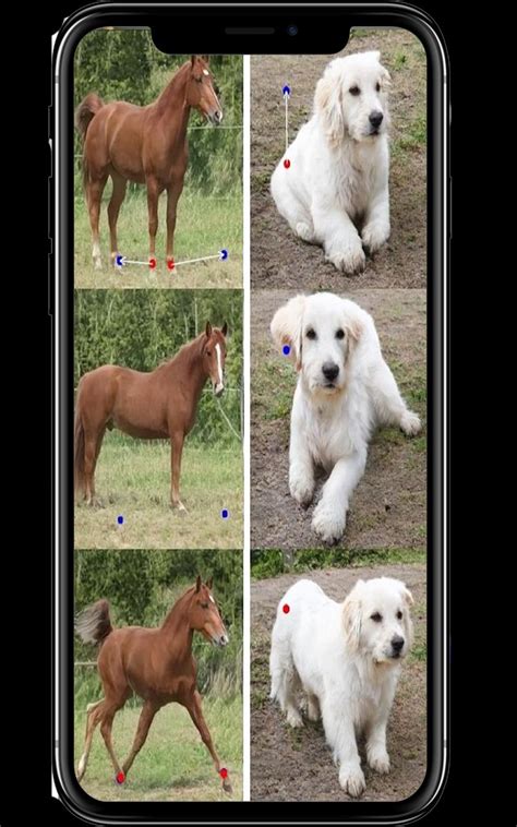 Draggan Ai 3d Image Apk For Android Download