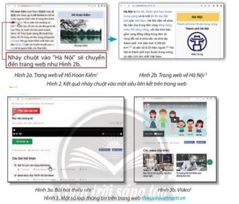 Truy cập vào trang web thieunhivietnam vn a Quan sát và cho biết trên trang web có những loại