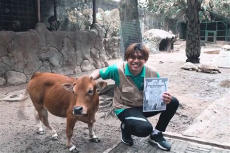 Wan Hafizuddin Hamizan On Linkedin Guestfeedback