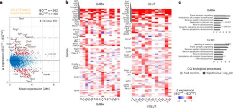 Neuronal Types In The Mouse Amygdala And Their Transcriptional Response