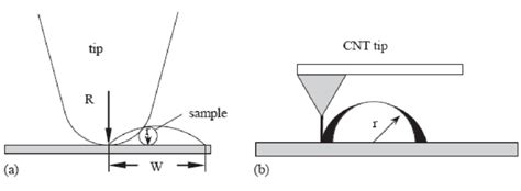 Standard A And Cnt Tip B Deconvolution Model Liqiu Guo Et Al