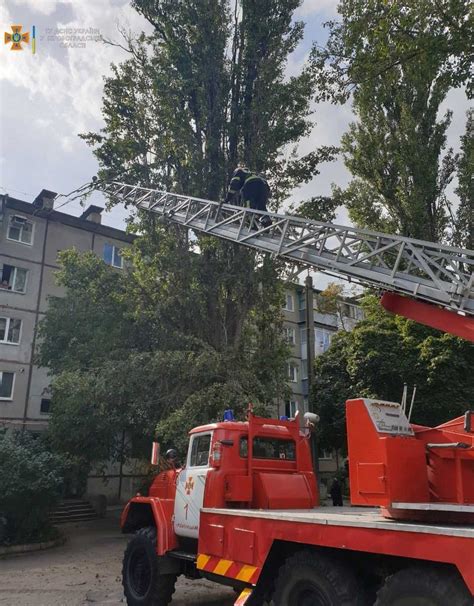 На Кіровоградщині рятувальники прибирали аварійні дерева та гілки ФОТО Новини Точка доступу