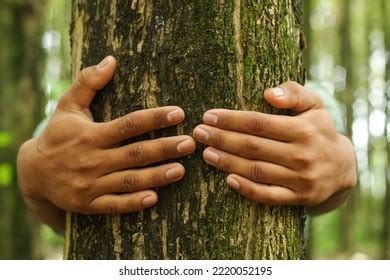 6 117 Hugging Tree Trunk Images Stock Photos Vectors Shutterstock