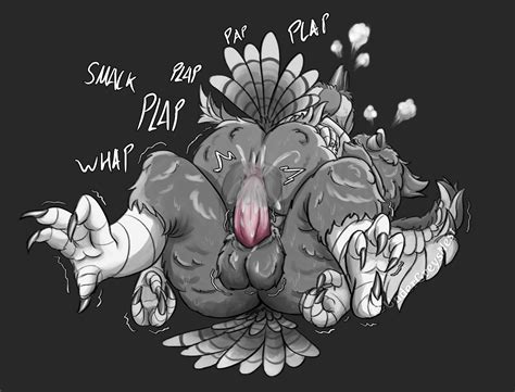 Rule 34 Aarakocra Dnd Air Puff Anal Anal Sex Animal Genitalia