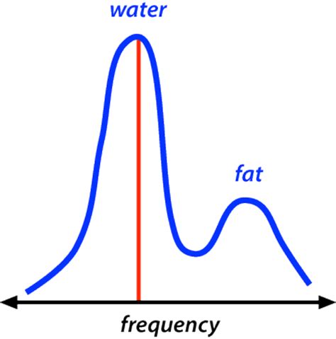Center Frequency Questions And Answers In MRI