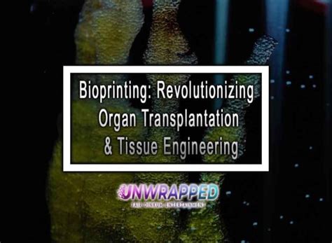 Bioprinting Revolutionizing Organ Transplantation And Tissue Engineering