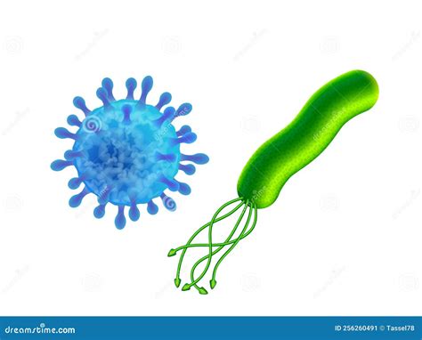 Virus And Bacteria Difference In Structure Of The Virus And Bacteria